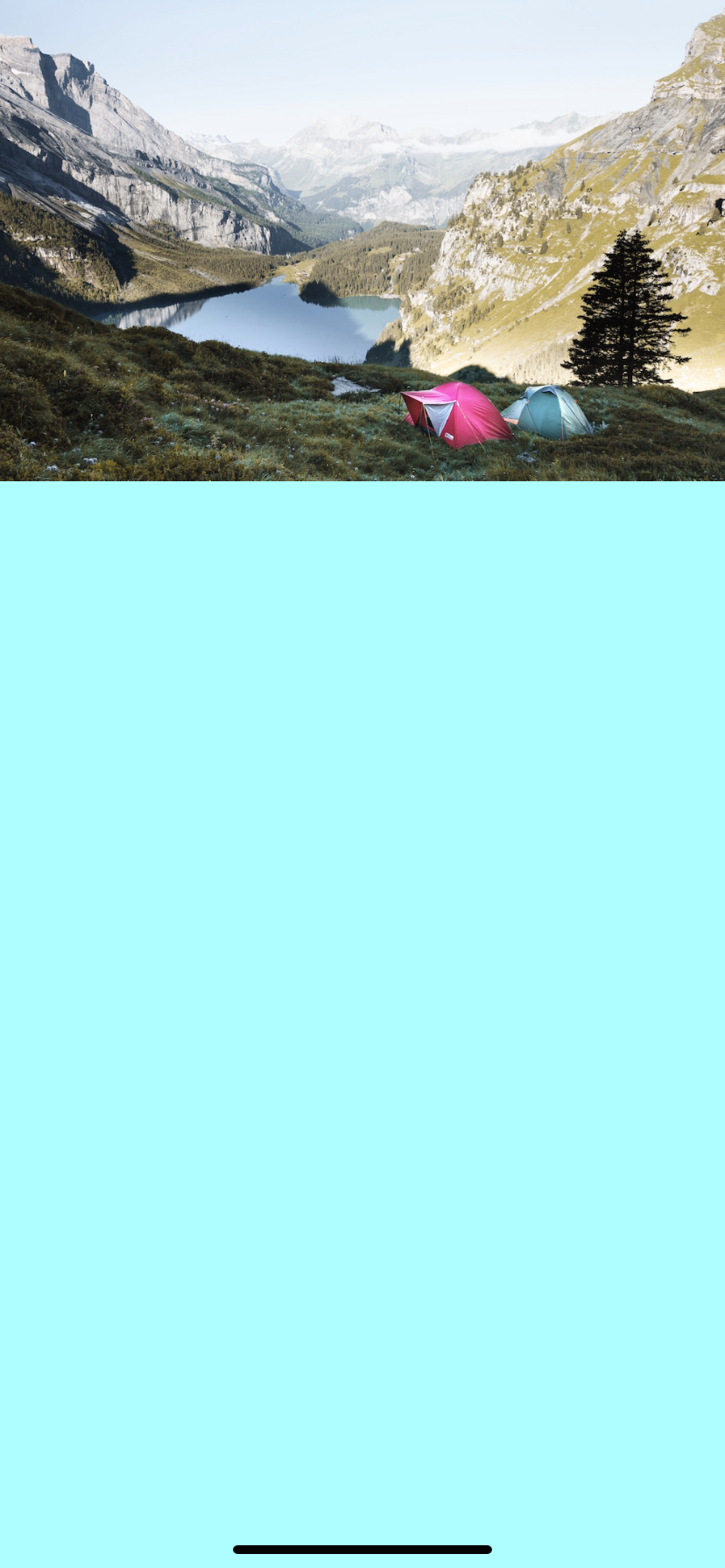 Launch Screen - Pinning image to the bottom doesn't work properly while running the app (iOS ...