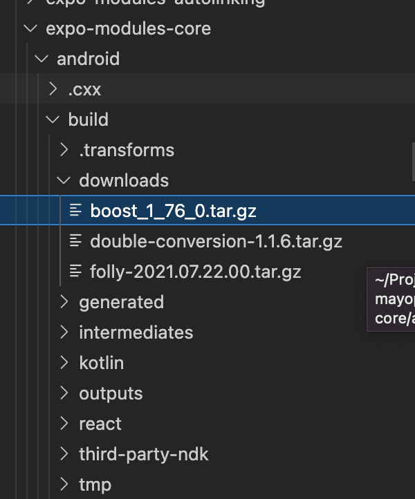 Gradle re-downloads expo-modules-core dependencies again each time a ...