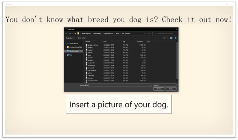 GitHub - SPiersiak/DogBreedDNN