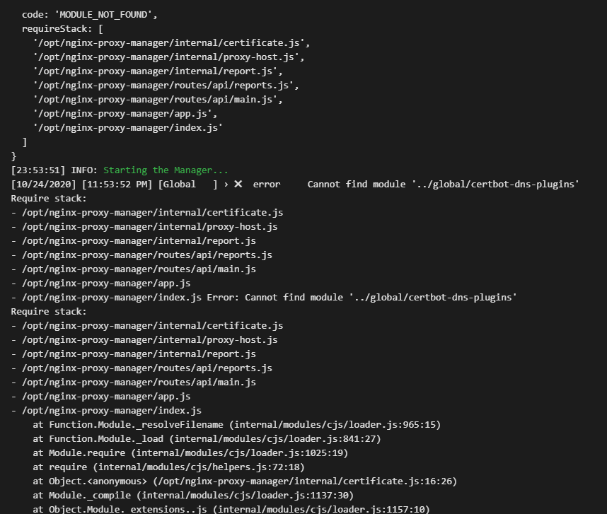 502 /api/tokens · Issue #119 · hassio-addons/addon-nginx-proxy-manager · GitHub