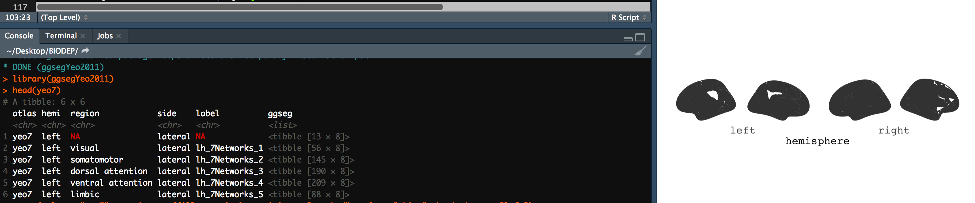 "mangled" yeo7 and yeo17 atlases · Issue #34 · ggseg/ggseg · GitHub