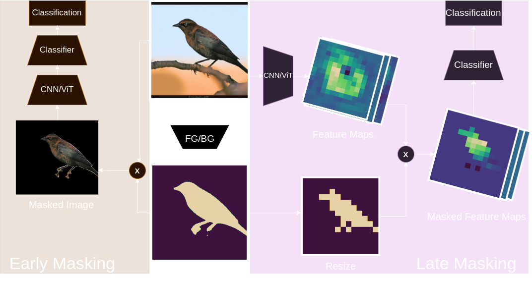 GitHub - ananthu-aniraj/masking_strategies_bias_removal: Masking ... GitHub - ananthu-aniraj/masking_strategies_bias_removal: Masking ...