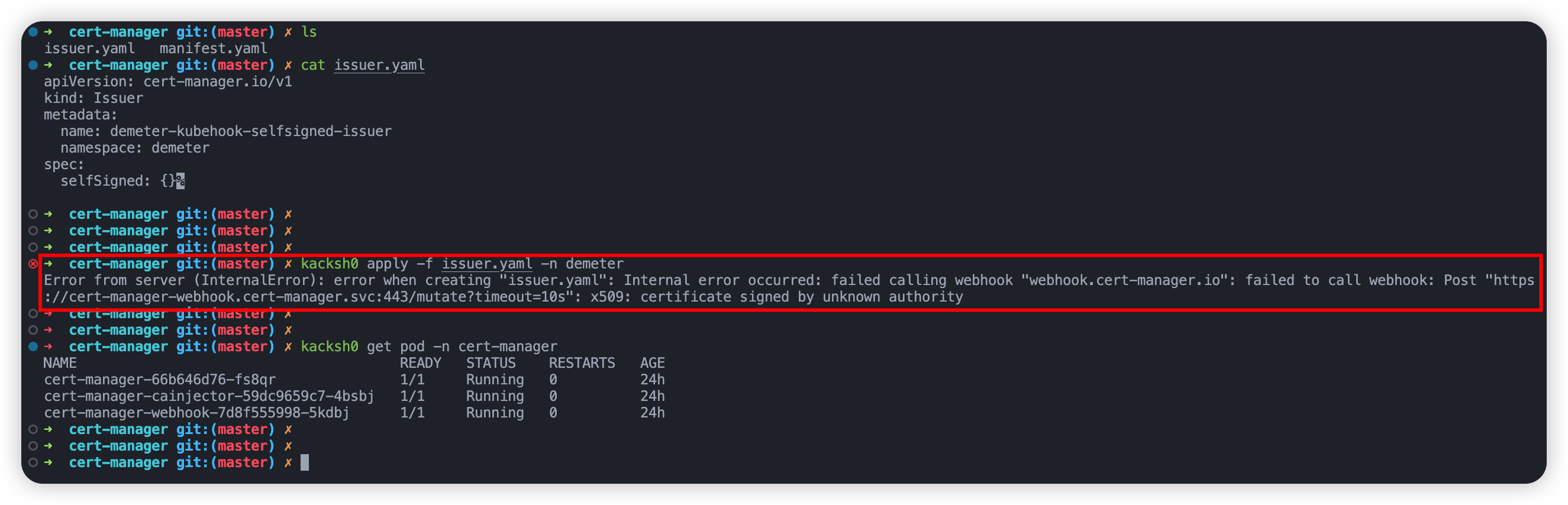 error when creating Issuer, x509: certificate signed by unknown ...