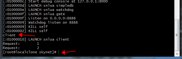 在console下启动examples下的client服务，skynet整个进程退出了，什么原因呢？ · Issue #1503 · cloudwu/skynet · GitHub