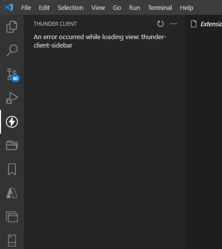 An error occurred while loading view: thunder-client-sidebar - again · Issue #513 ...