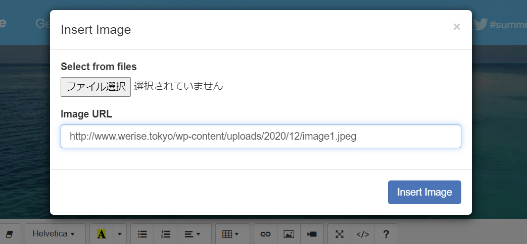 If I enter an image link in the ”Image URL”, it will not be displayed in Google Chrome. · Issue ...