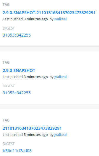 push adds a default, unique tag · Issue #248 · carvel-dev/imgpkg · GitHub