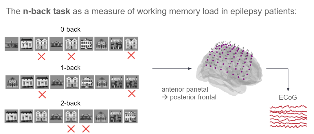 GitHub - DHANANJAYDAHIYA/Prediction-of-subject-s-response-in-n-back ...
