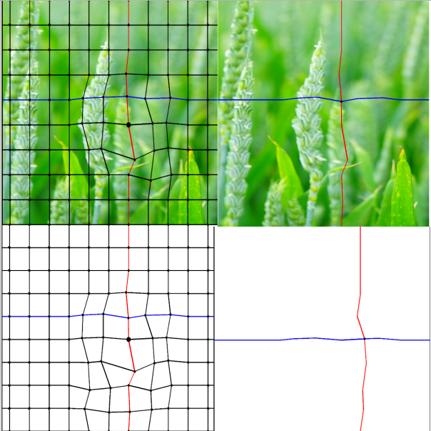 GitHub - Yuhaosgit/metamorphopsia-VRproject