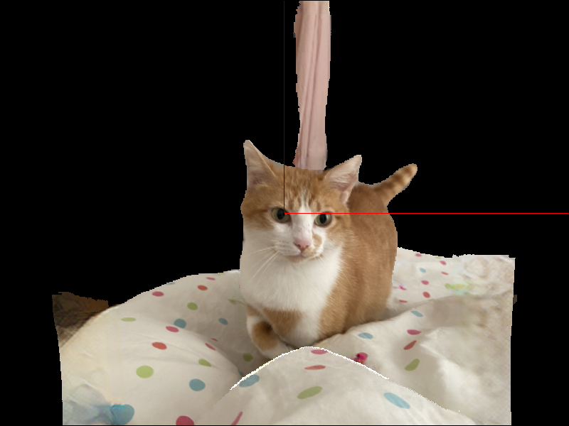 Background Does Not Show With Canvas Render · Issue 1894 · Vispy Vispy · Github