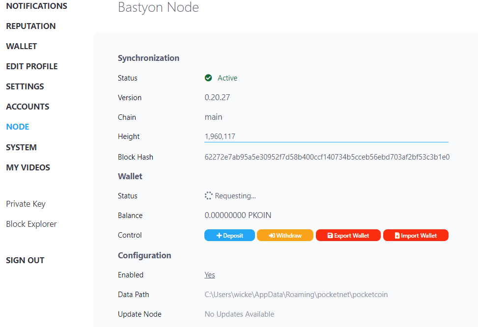 v0.8.22 - Node Status Shows Only 'Requesting' - Never Shows Wallet Amount · Issue #756 ...