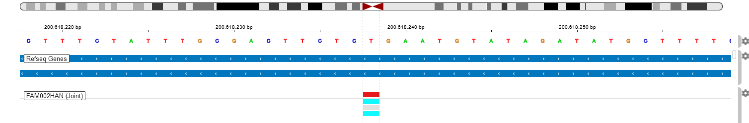 Refseq gene names not displayed at all zoom levels · Issue #1519 · igvteam/igv.js · GitHub