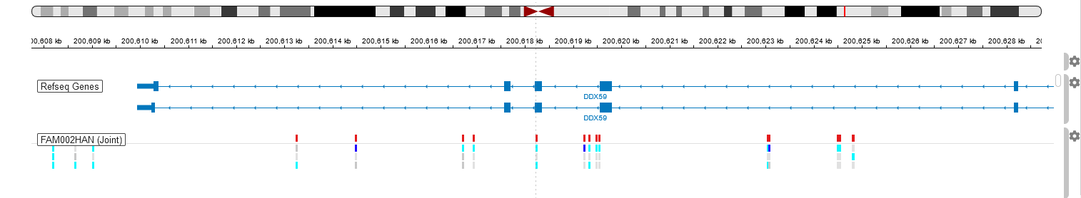 Refseq gene names not displayed at all zoom levels · Issue #1519 · igvteam/igv.js · GitHub