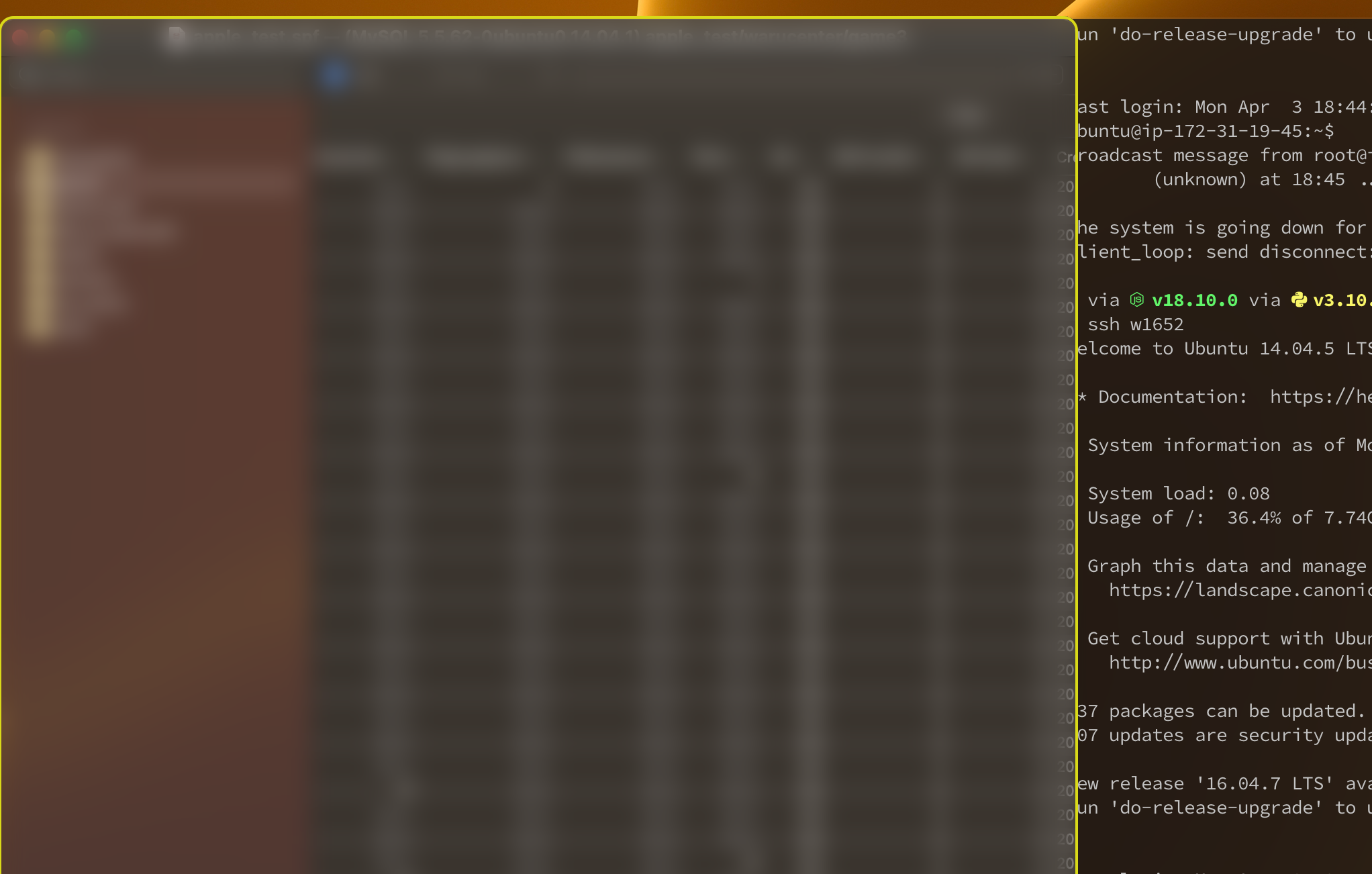 The border background is obscuring the program window. · Issue #1691 ...