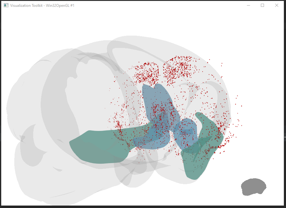 Imported cell mis-alignment from Wholebrain · Issue #38 · brainglobe/brainrender · GitHub
