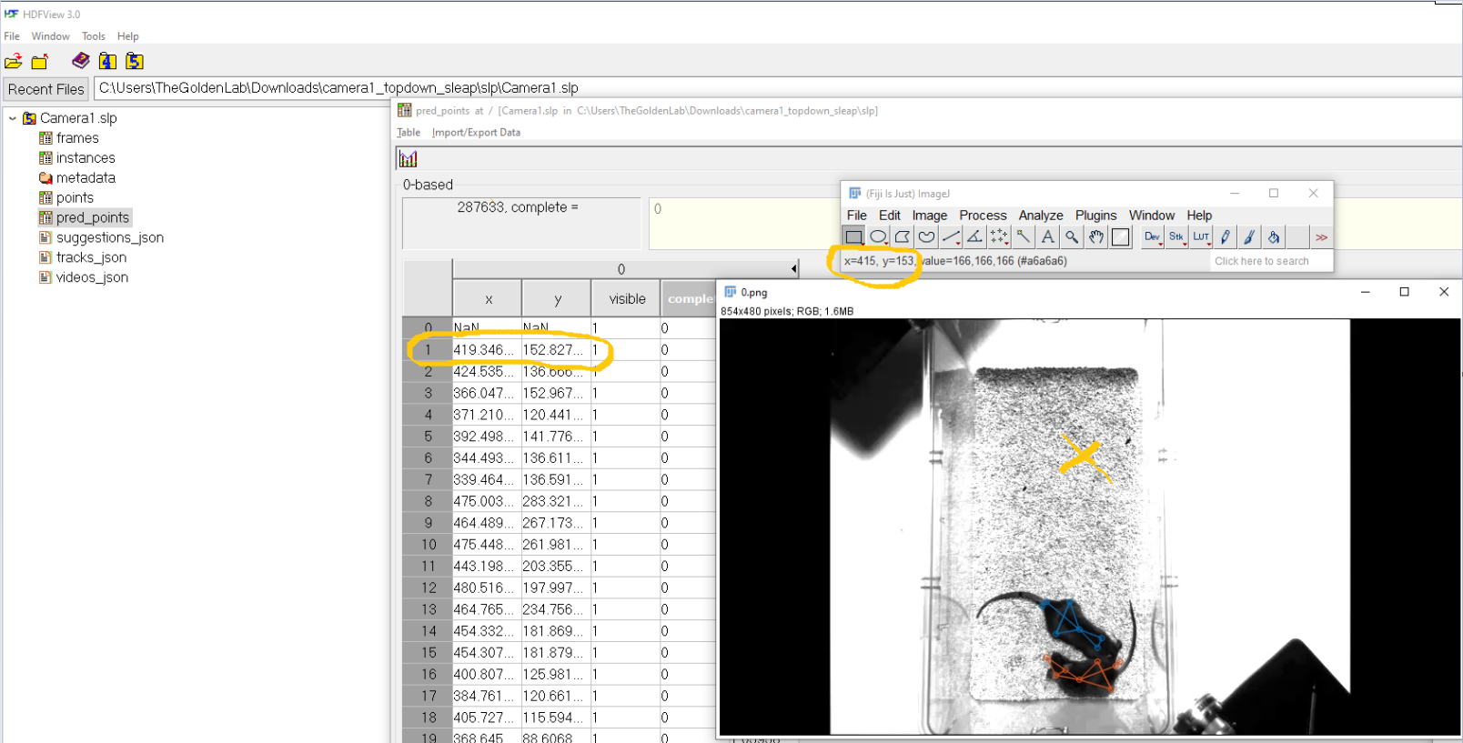 error importing SLEAP .slp file · Issue #53 · sgoldenlab/simba · GitHub