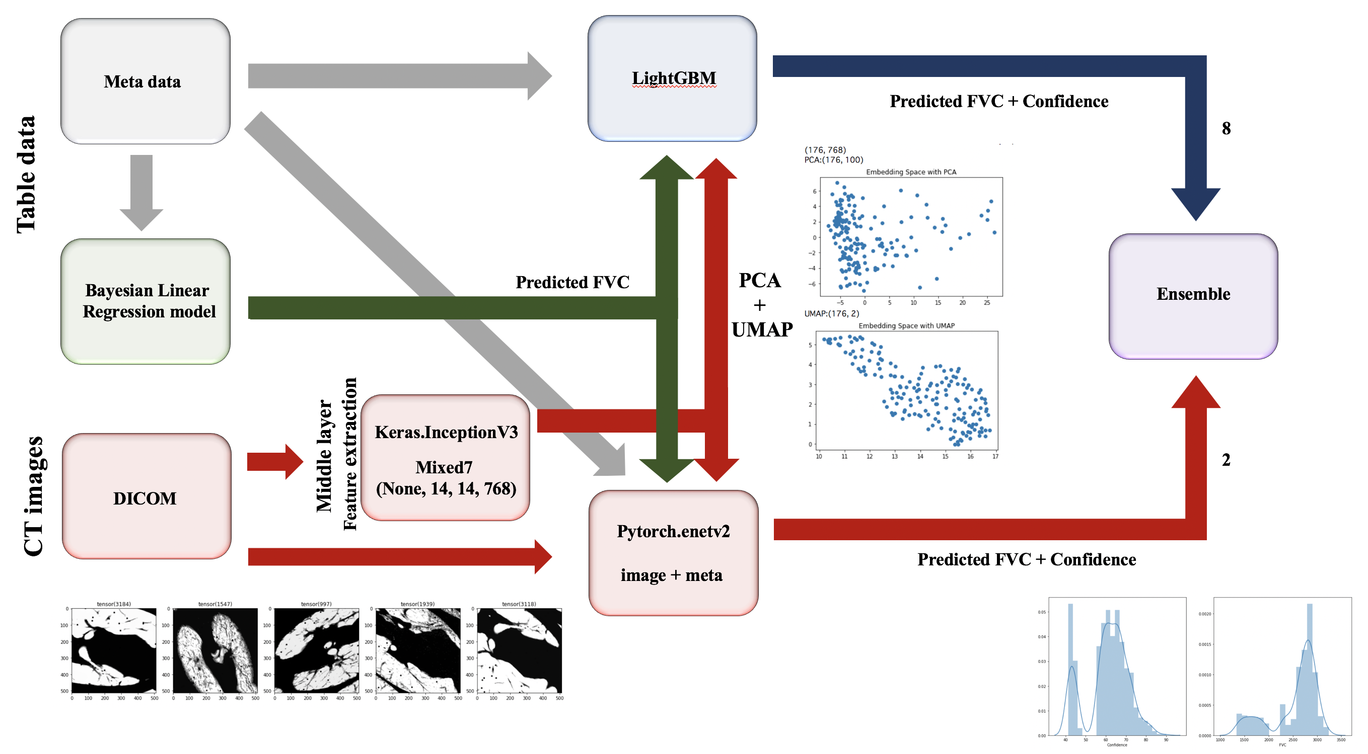 GitHub - KFurudate/kaggle_OSIC_Pulmonary_Fibrosis_Progression