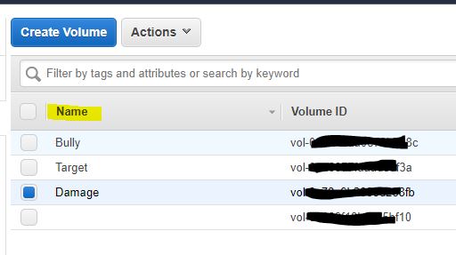 Get-EC2volume -name attribute and EC2 Console · Issue #221 · aws/aws-tools-for-powershell · GitHub
