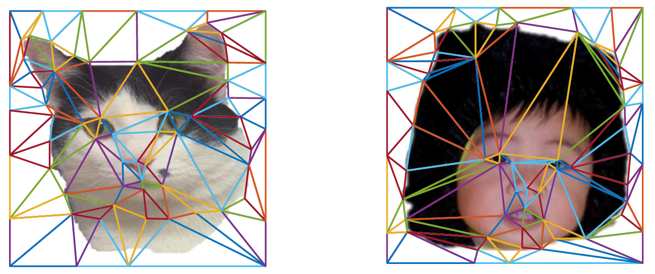 GitHub - AadeshVarude/FaceSwap: Python implementation for face Swapping using Delaunay ...