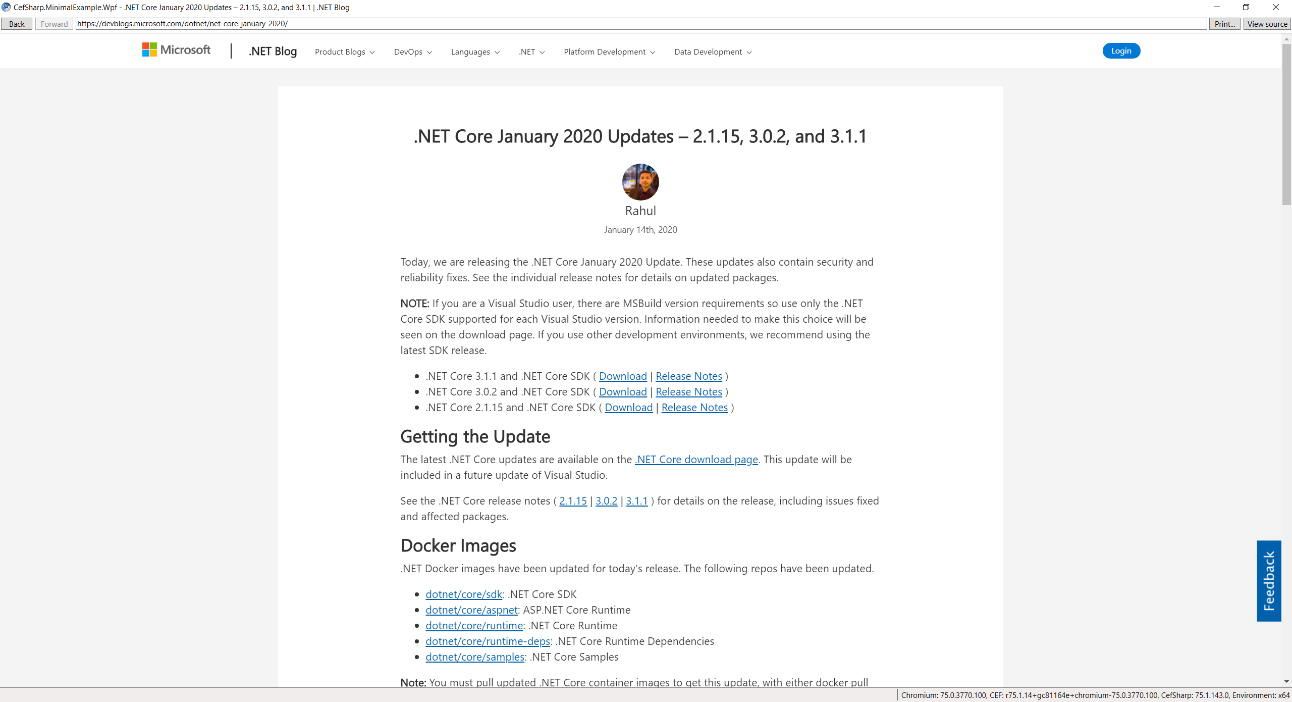 Blurry screen in CefSharp.MinimalExample.WPF · Issue #3017 · cefsharp/CefSharp · GitHub