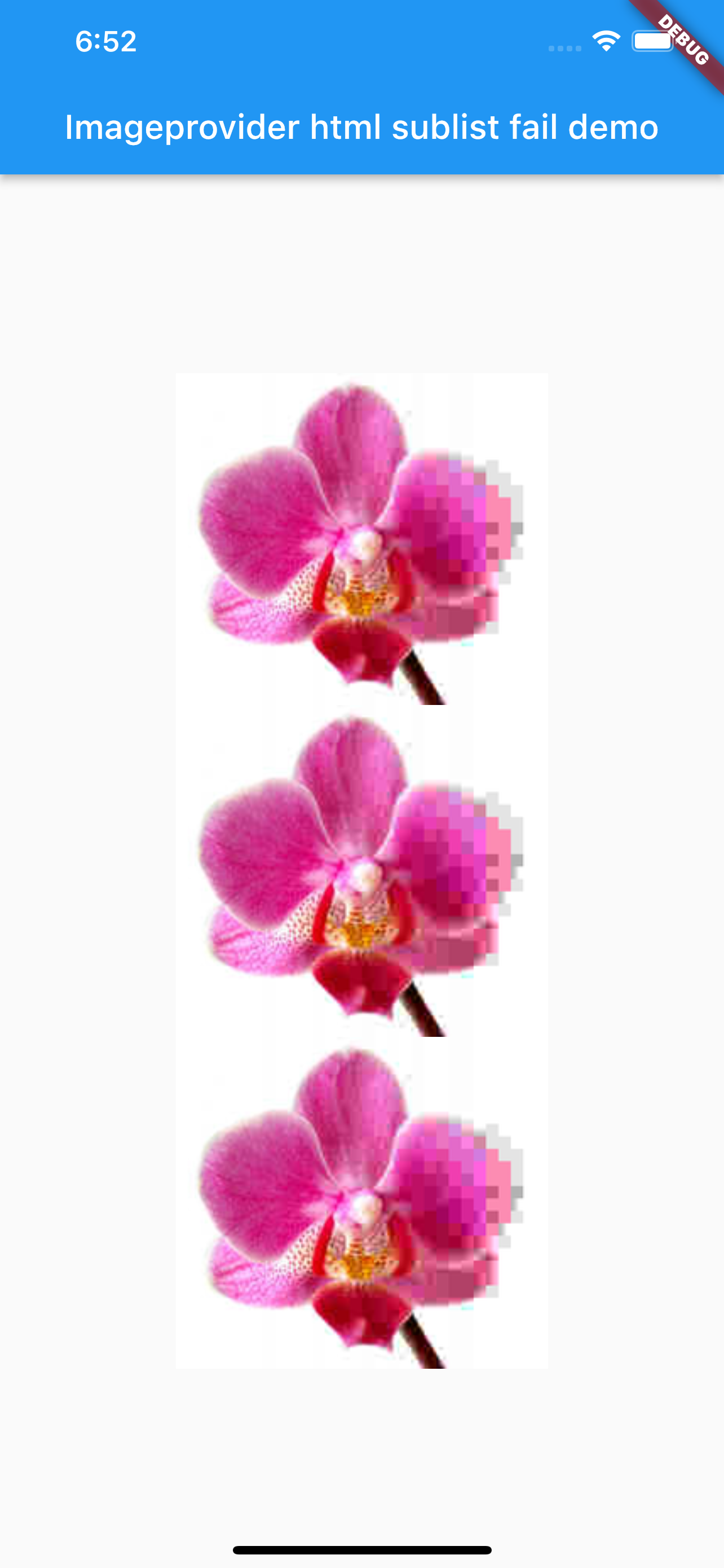 ImageProvider is not working with Html-WebRenderer and image data from a sublist · Issue #105306 ...