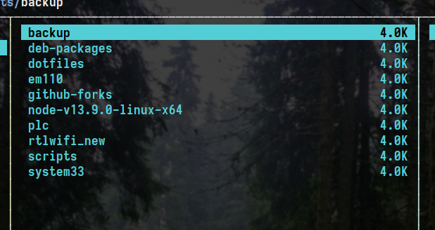 use summarized size on directory · Issue #332 · gokcehan/lf · GitHub