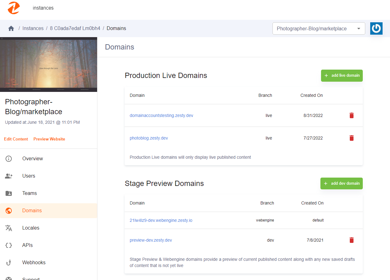 Instances: Domains Tab · Issue #892 · zesty-io/website · GitHub