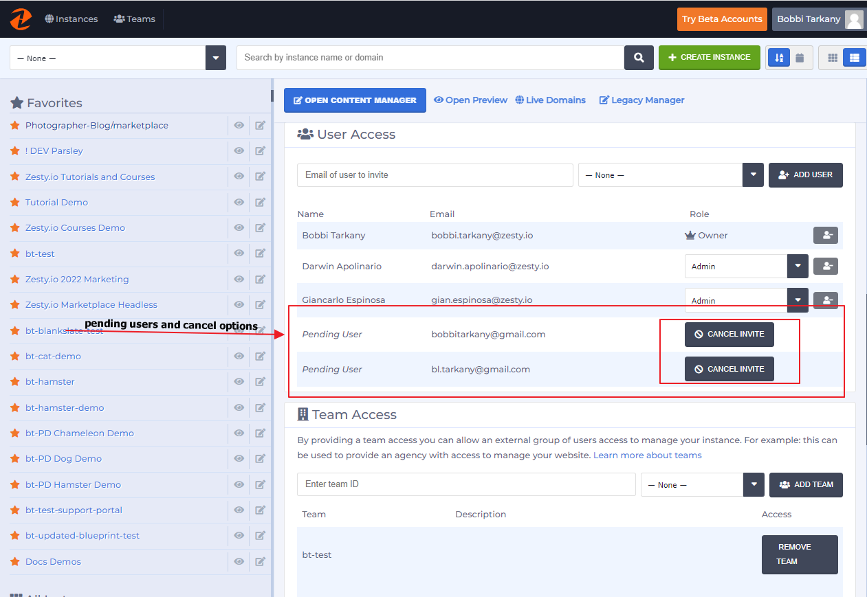 User View of an instance does not show pending users and no ability to cancel pending invite ...