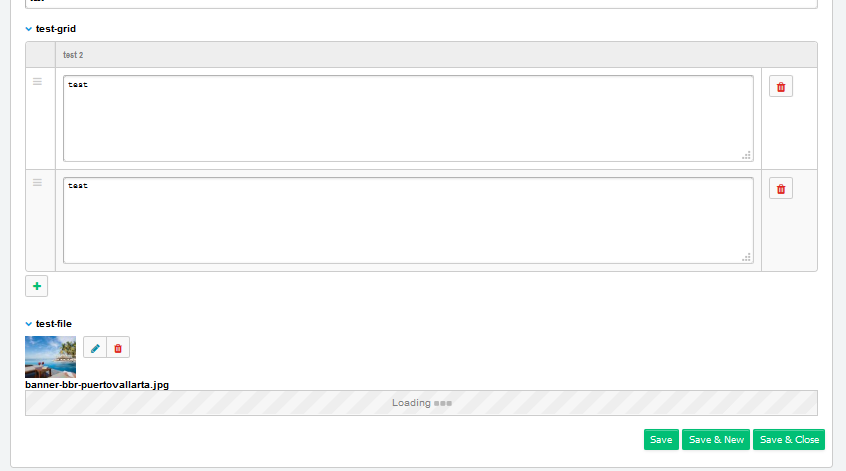 File fieldtype loading error · Issue #206 · ExpressionEngine/ExpressionEngine · GitHub