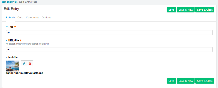 File fieldtype loading error · Issue #206 · ExpressionEngine/ExpressionEngine · GitHub