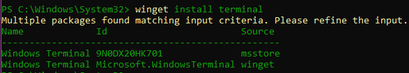 Terminal in Microsoft store and WinGet has different identifiers ...