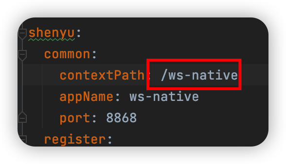 [bug] When I Run Shenyu Example Spring Native Websocket And Use Zk To Sync Data There Is An