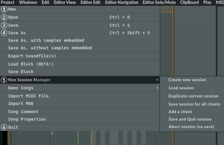 Non-Session-Management (NSM) support · Issue #1242 · kmatheussen/radium · GitHub