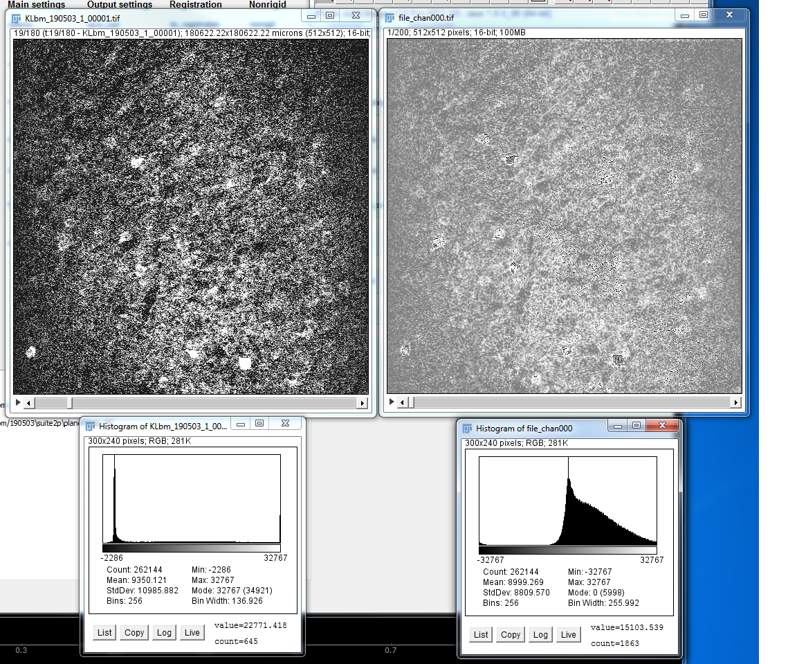 registered tiff · Issue #177 · MouseLand/suite2p · GitHub