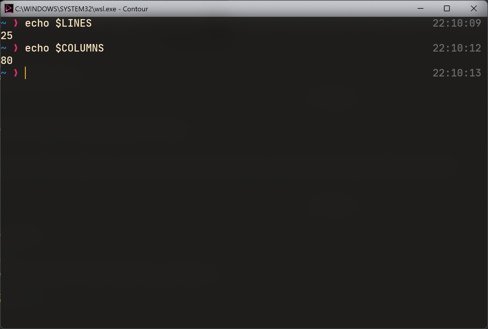 Terminal size can't recover · Issue #1154 · contour-terminal/contour · GitHub