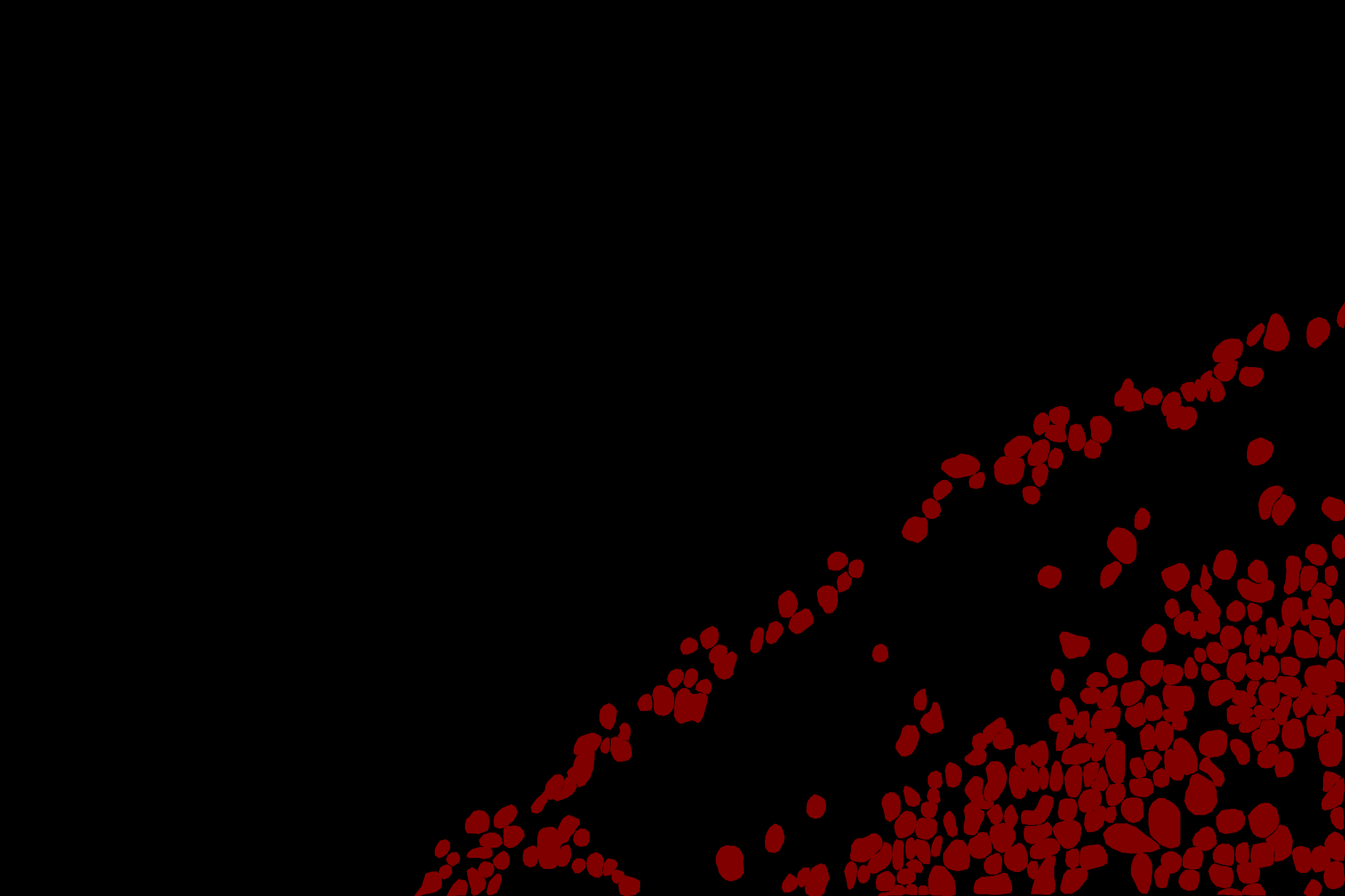 The abnormal flow when using labelme to prepare dataset (binary classification) · Issue #446 ...