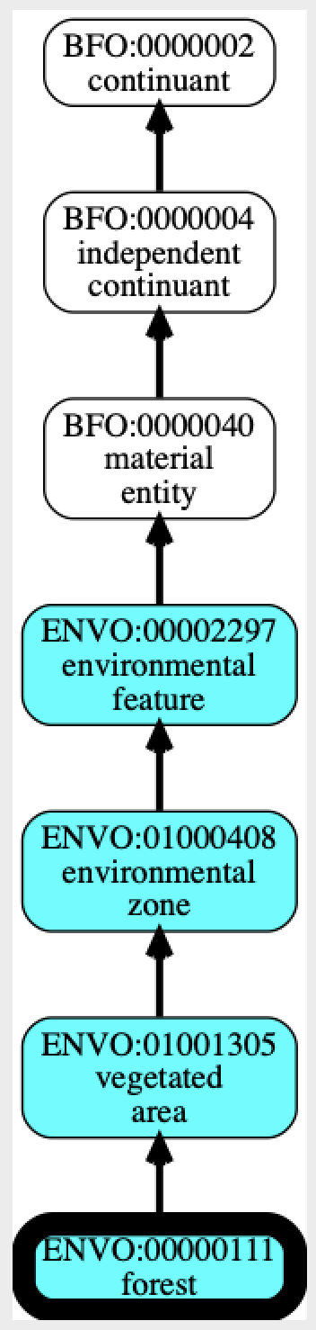 NTR: forest · Issue #1183 · EnvironmentOntology/envo · GitHub