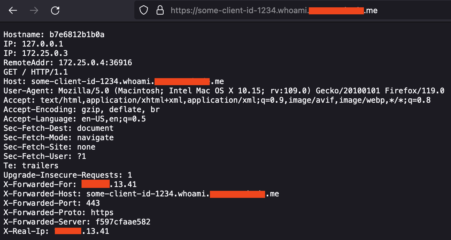 DoH with ClientID as Subdomain not being Recognized · Issue #6371 · AdguardTeam/AdGuardHome · GitHub