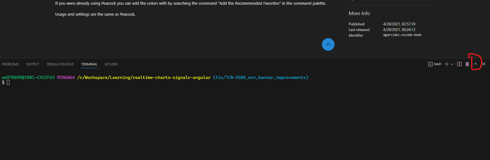 Missing the terminal expand button in the visual studio code · Issue #170203 · microsoft/vscode ...
