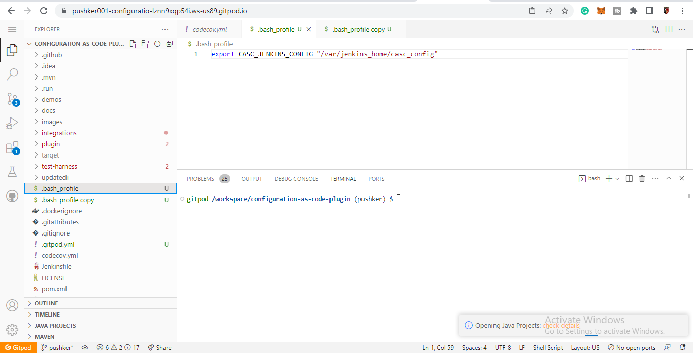 Plugin role-strategy : conflict when setting jenkins.projectNamingStrategy · Issue #2185 ...