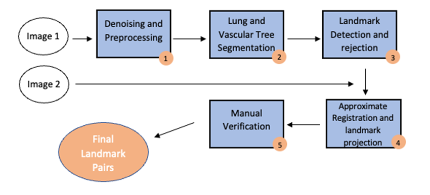 GitHub - deshanyang/Lung-DIR-QA: Dataset of CT image pairs with landmarks for deformable image ...