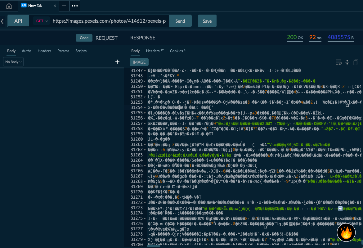 Image preview in API client · Issue #37 · firecamp-io/firecamp · GitHub