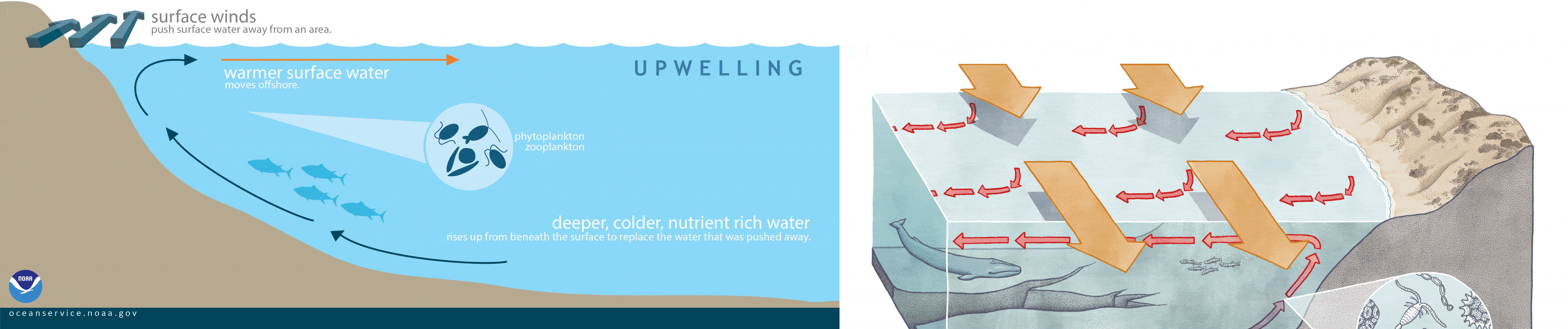 Changes in the Seasonality and Duration of Upwelling off the U.S ...