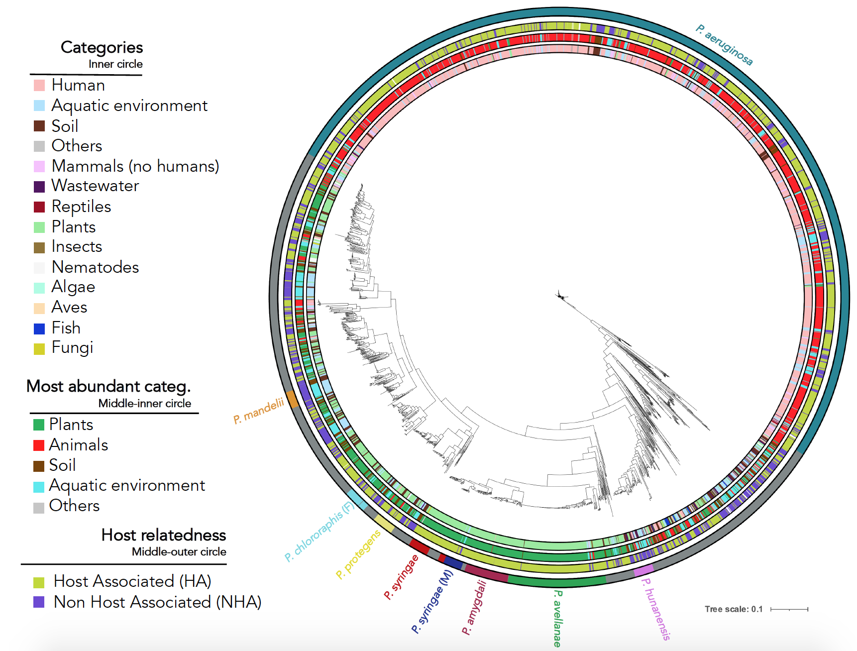 GitHub - zakisaati/Pseudomonas_pangenome