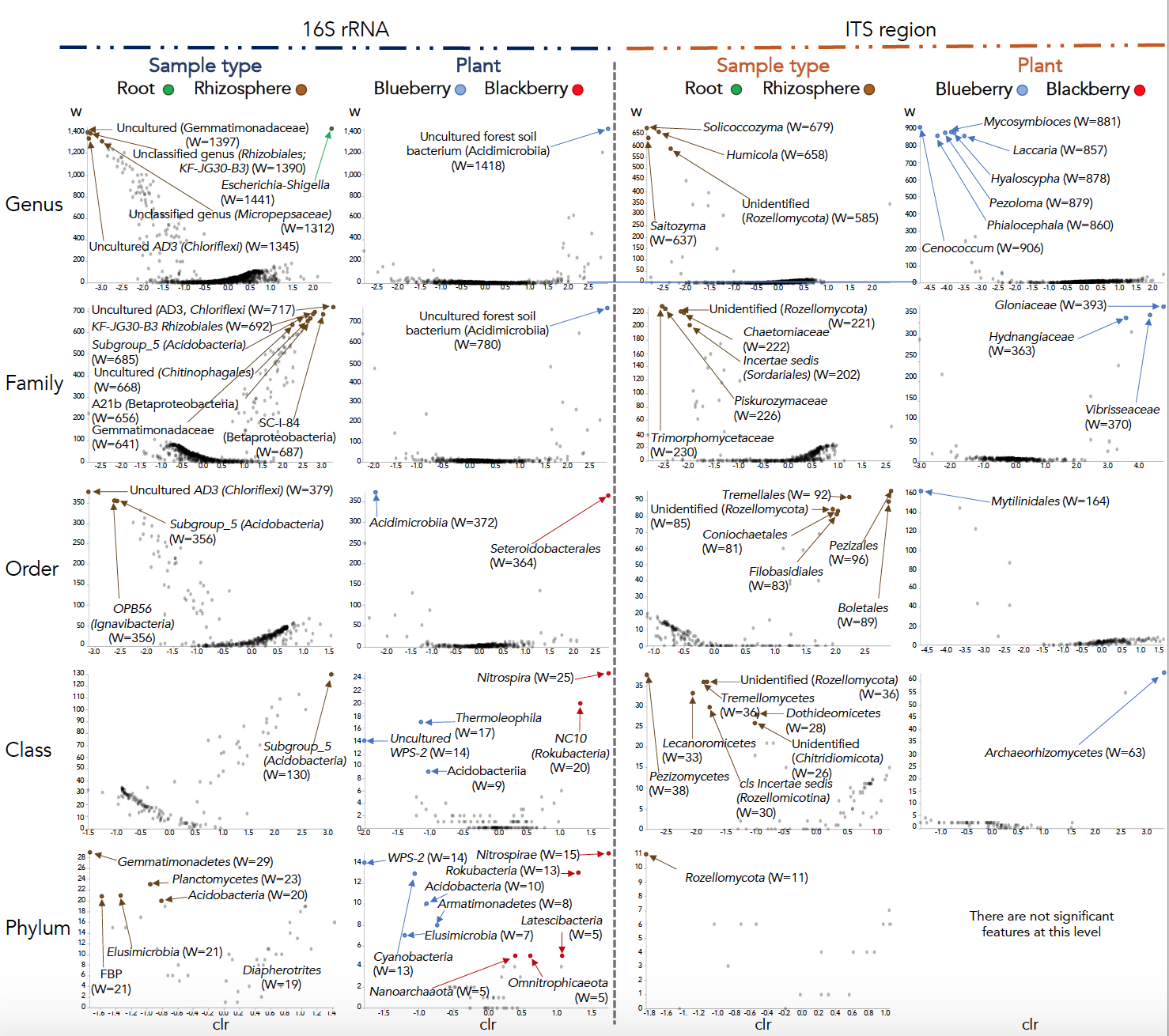 GitHub - zakisaati/blueberry_blackberry_microbiomes