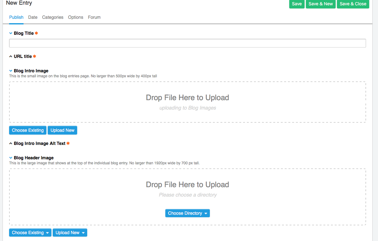 File fieldtype loading error · Issue #206 · ExpressionEngine/ExpressionEngine · GitHub