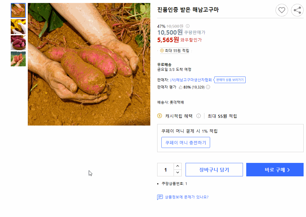 GitHub - butterbeetle/coupangpang