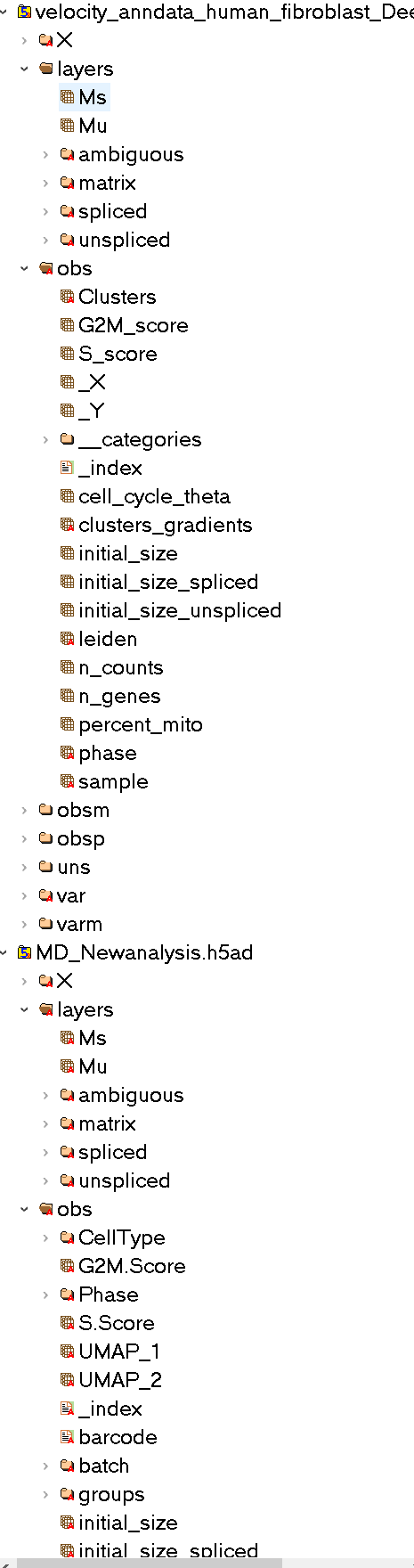 Issue with Anndata · Issue #14 · andreariba/DeepCycle · GitHub