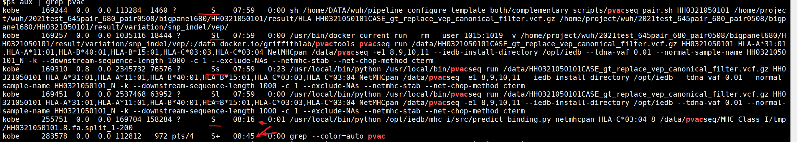 pvacseq pcroess become Z · Issue #722 · griffithlab/pVACtools · GitHub