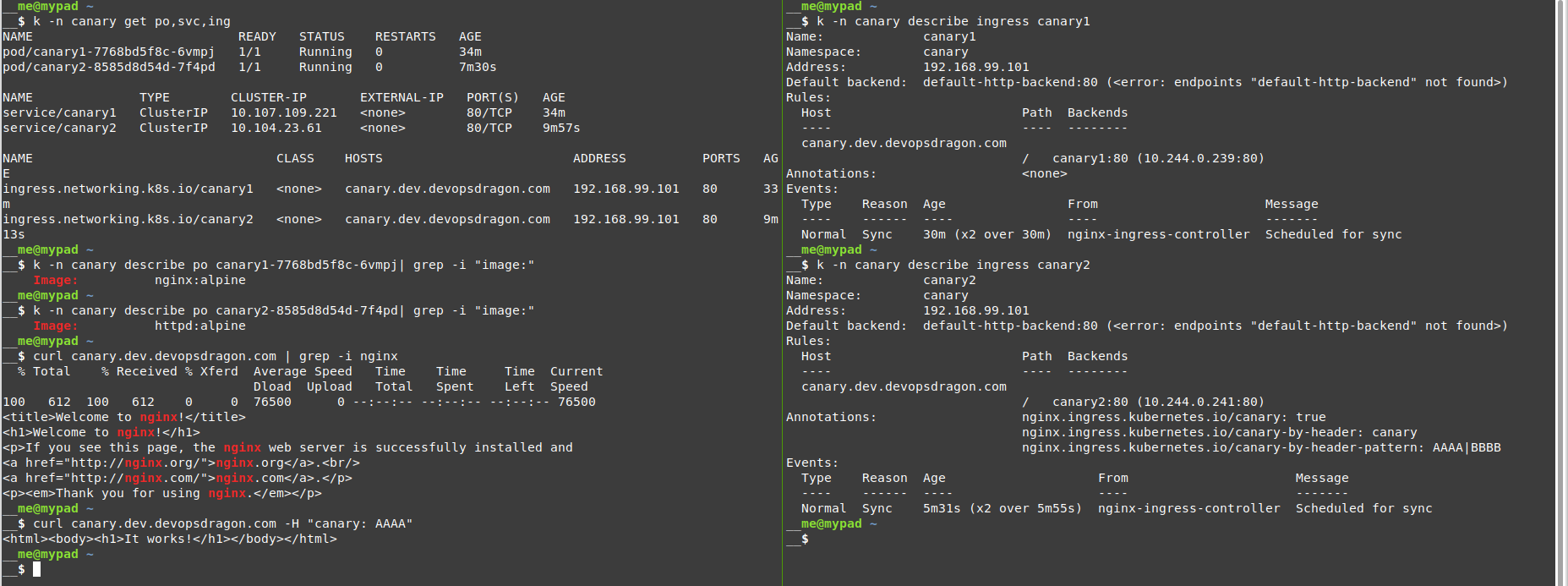 Ingress canary service responded when sending a request with a canary header to an ingress ...
